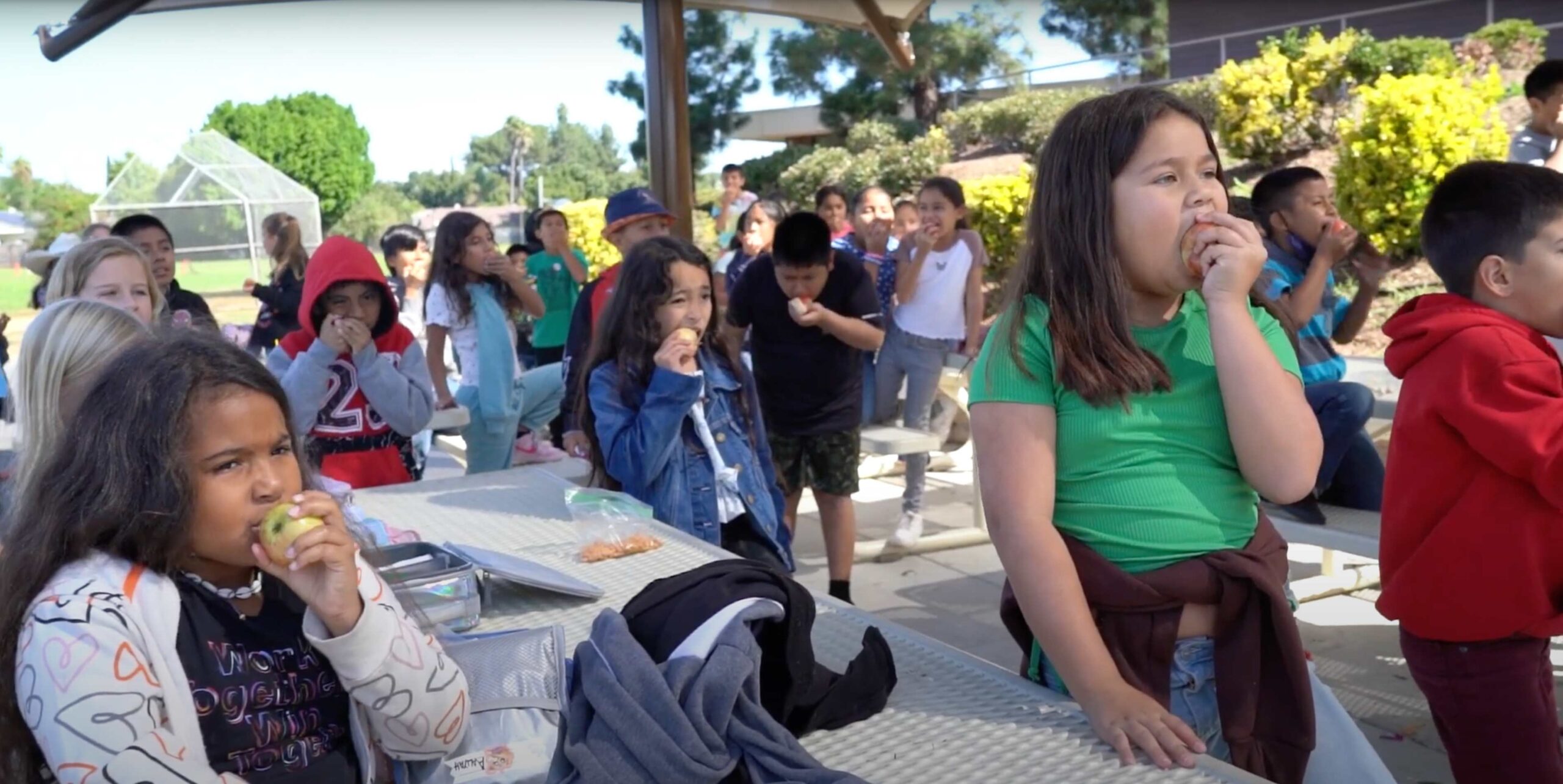 News & Blogs | Fallbrook Union Elementary School District