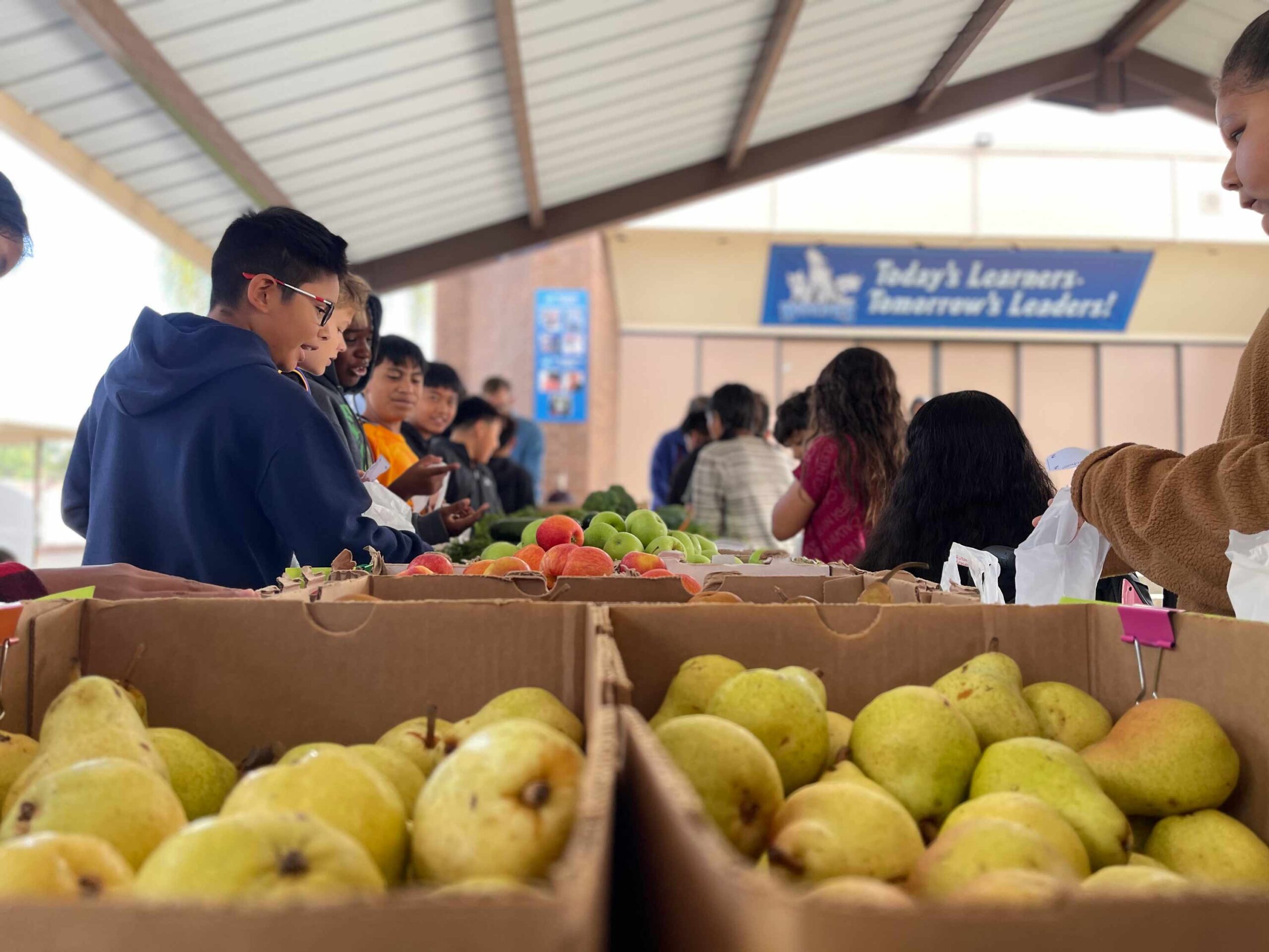 Fallbrook Union Elementary School District | Inspiring Greatness In ...
